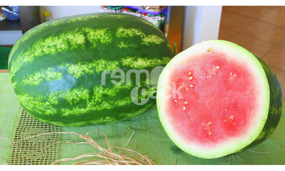 Cerchi etichette per piante di ANGURIA?