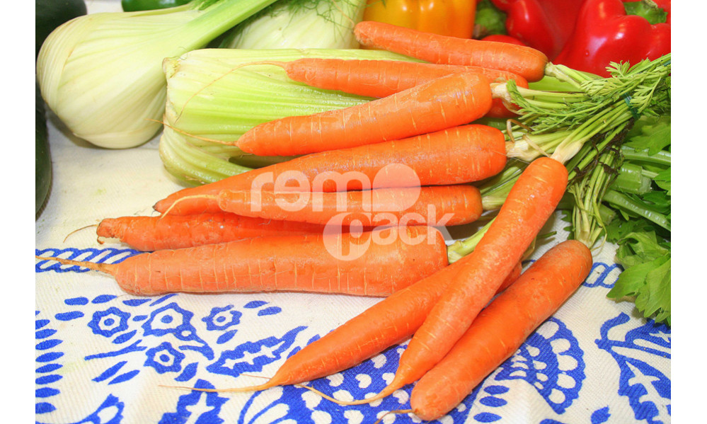 Cerchi etichette per piante di CAROTA?