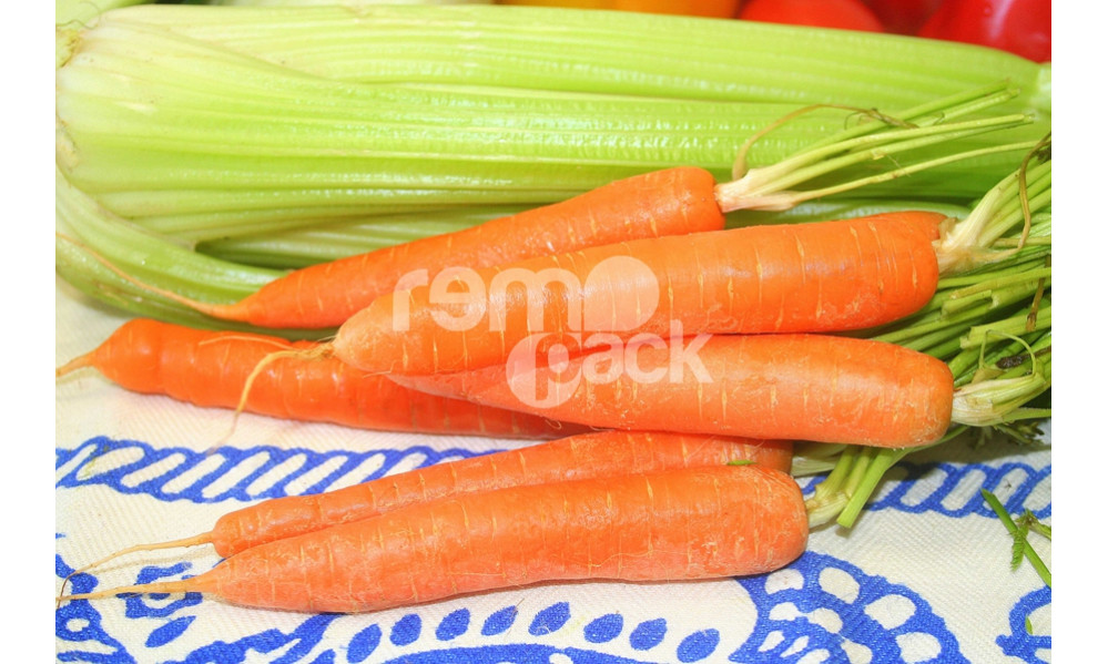 Cerchi etichette per piante di CAROTA?