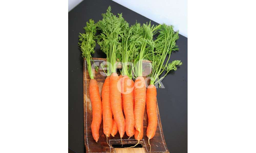 Cerchi etichette per piante di CAROTA?