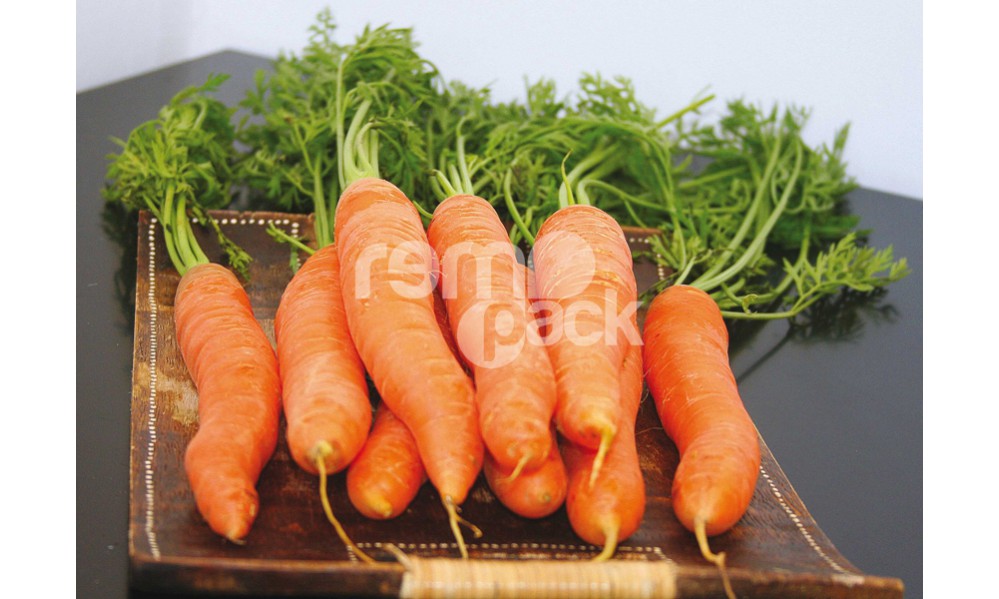 Cerchi etichette per piante di CAROTA?