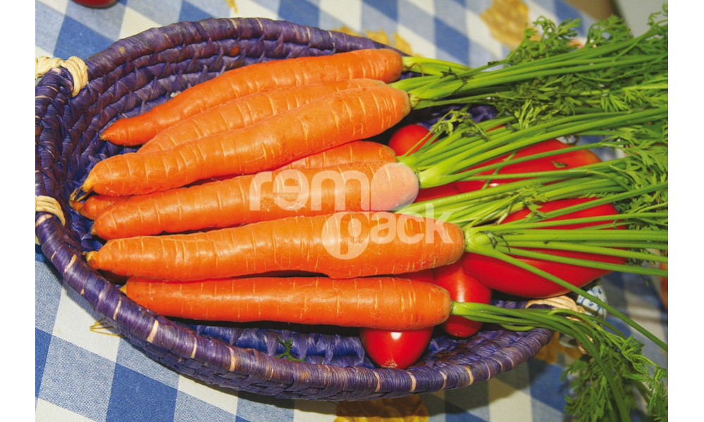 Cerchi etichette per piante di CAROTA?