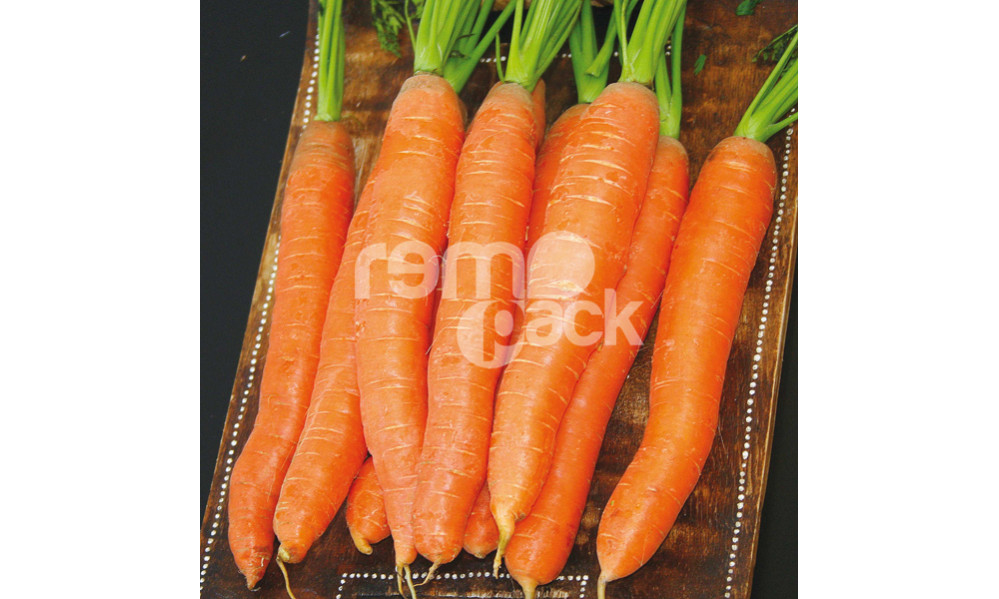 Cerchi etichette per piante di CAROTA?