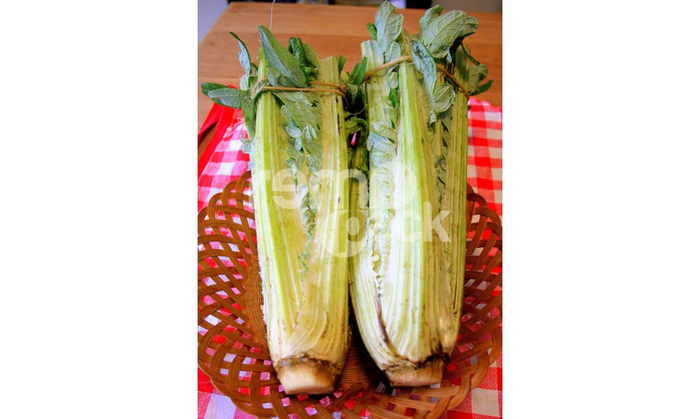 Cerchi etichette per piante di CARDO?