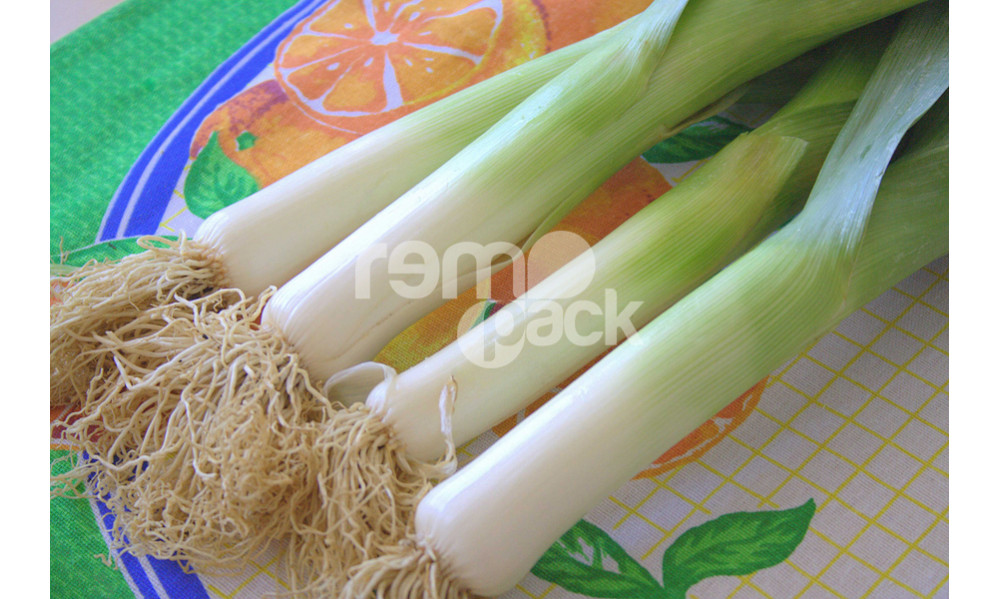 Cerchi etichette per piante di PORRO?