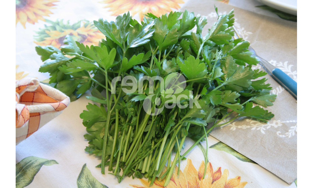 Cerchi etichette per piante di PREZZEMOLO?