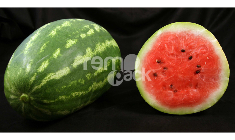 Cerchi etichette per piante di ANGURIA?