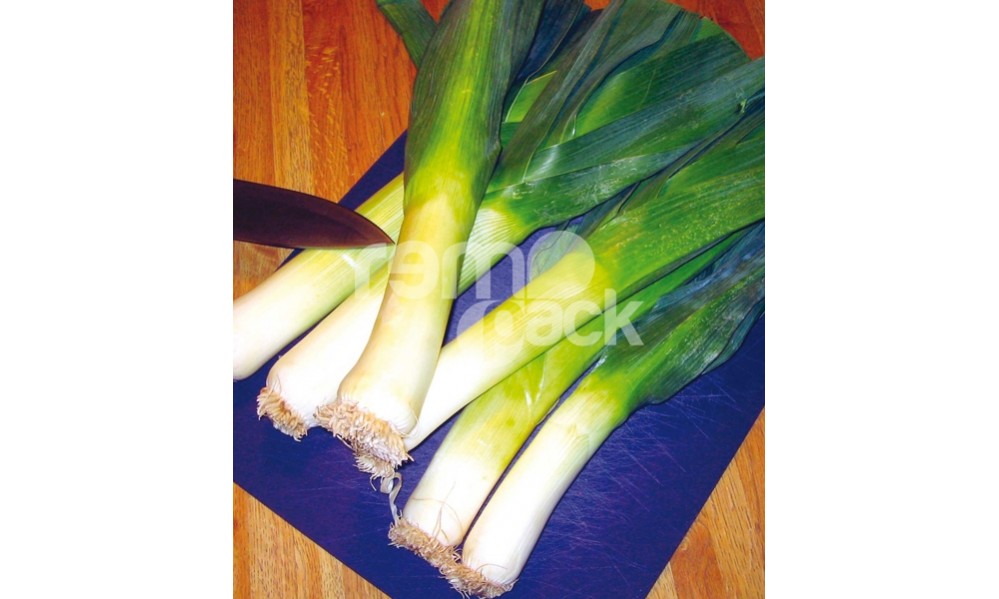 Cerchi etichette per piante di PORRO?