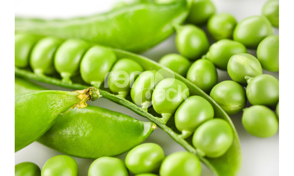 Cerchi etichette per piante di PISELLO?