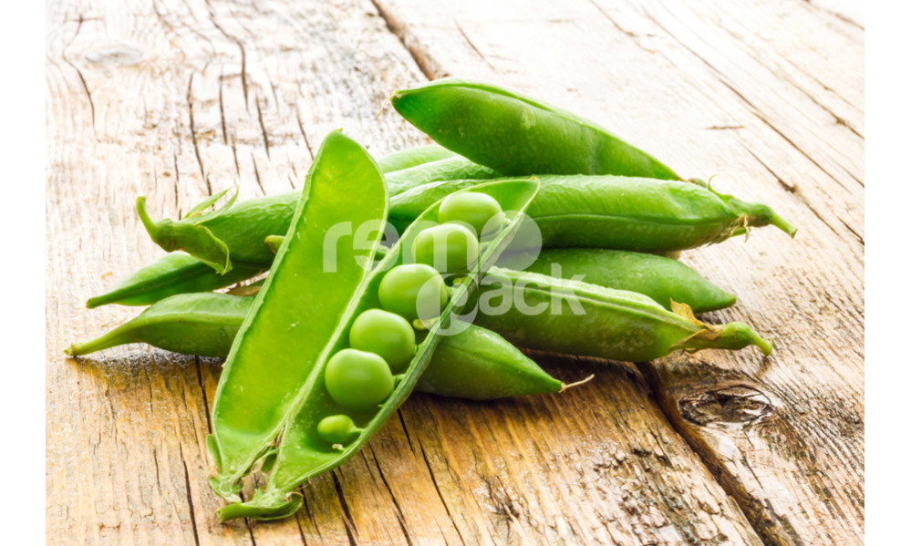 Cerchi etichette per piante di PISELLO?