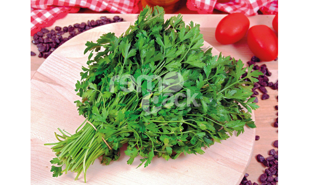 Cerchi etichette per piante di PREZZEMOLO?