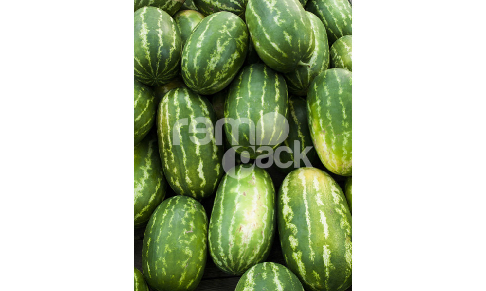 Cerchi etichette per piante di ANGURIA?