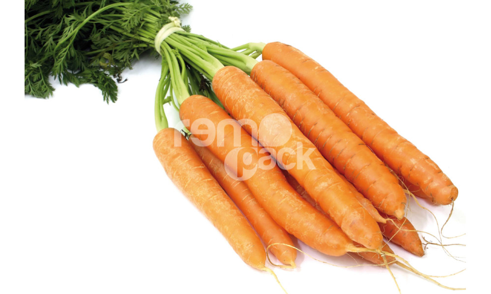 Cerchi etichette per piante di CAROTA?