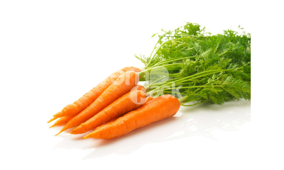 Cerchi etichette per piante di CAROTA?