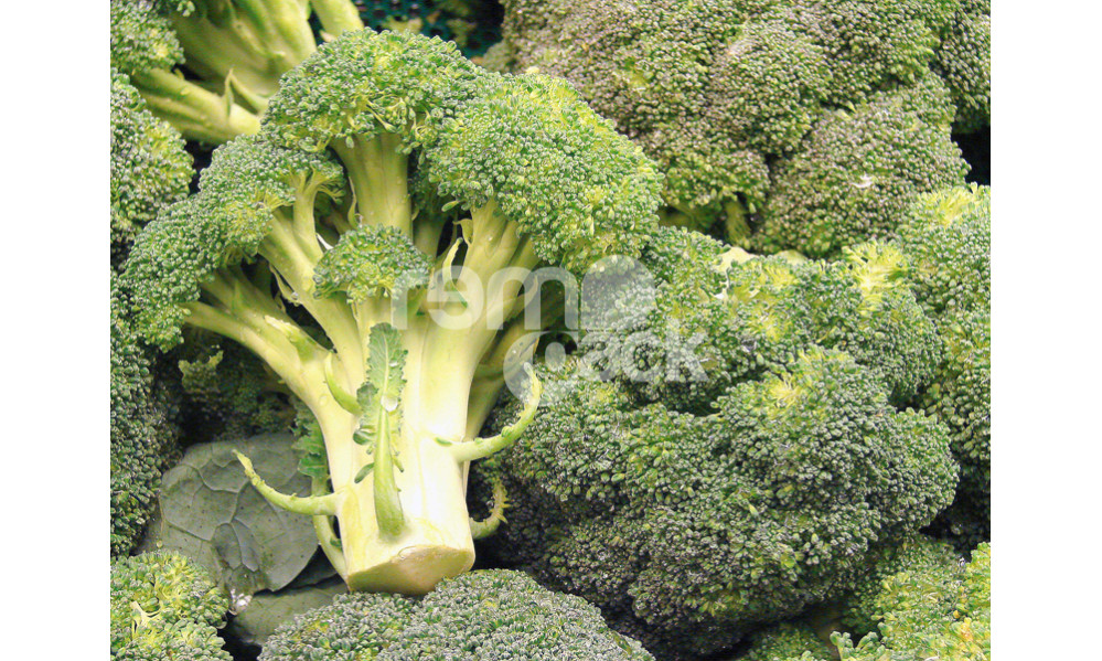 Cerchi etichette per piante di CAVOLO BROCCOLO?