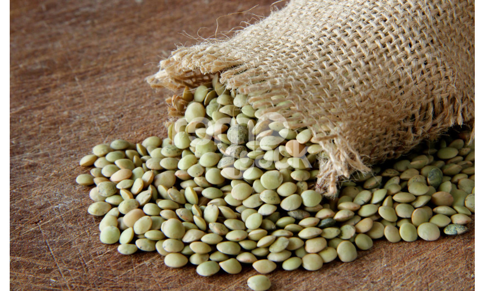 Cerchi etichette per piante di LENTICCHIA?