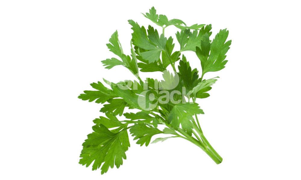 Cerchi etichette per piante di PREZZEMOLO?